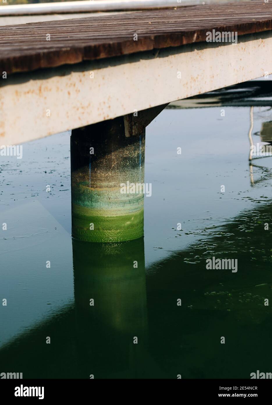 Close up colored column of river bridge pier by algal blooms, green ...
