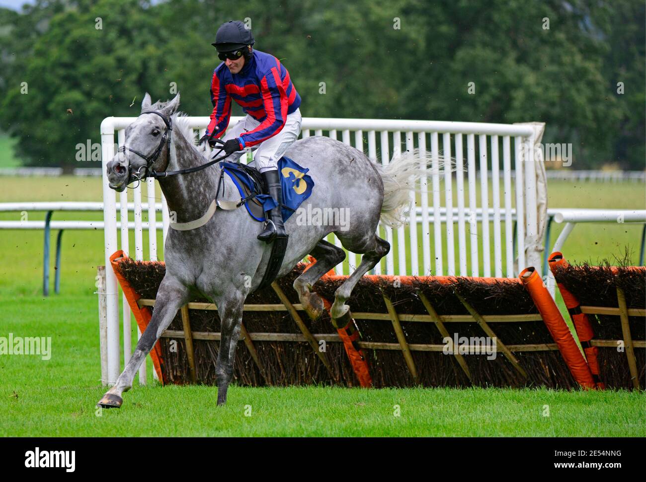 SCOTLAND Perth -- 16 Aug 2014 -- ARABIAN HEIGHTS rode by Brian Harding ...