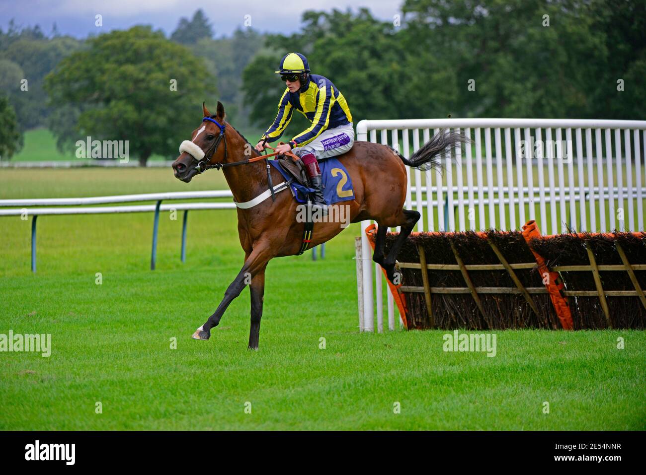 Sam twiston davies hi-res stock photography and images - Alamy