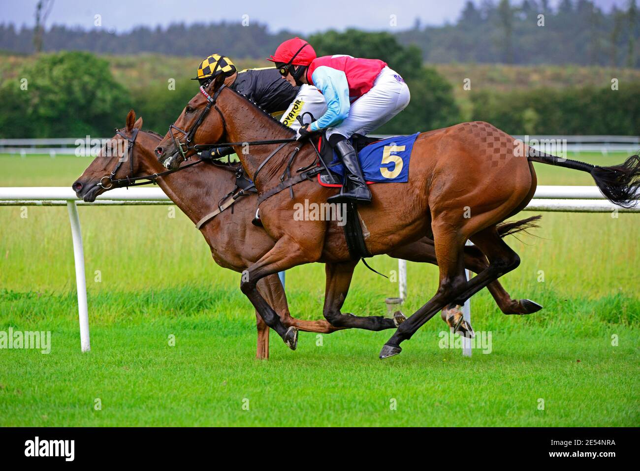 SCOTLAND Perth -- 16 Aug 2014 -- SOLWAY SAM rode by Ryan Day in the 4: ...