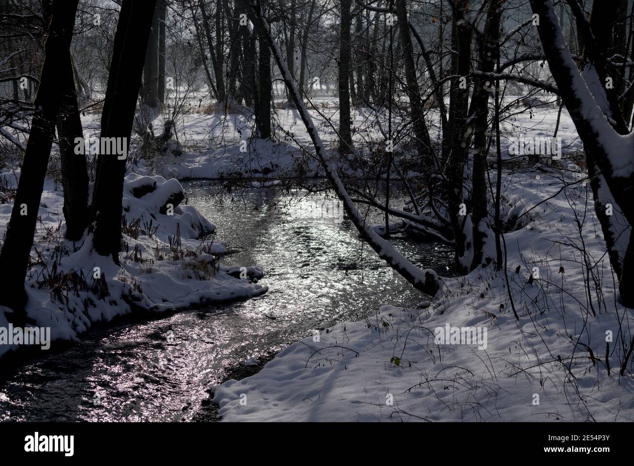 Chilling by the creek hi-res stock photography and images - Alamy