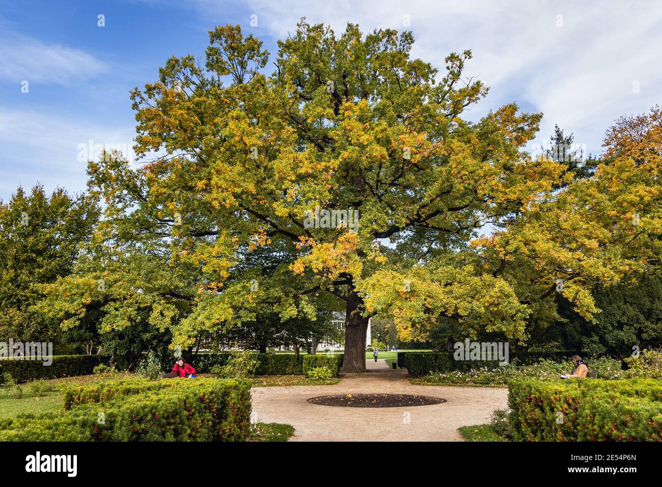 Lazienkowski Park also called Lazienki Park - Royal Baths, largest park ...