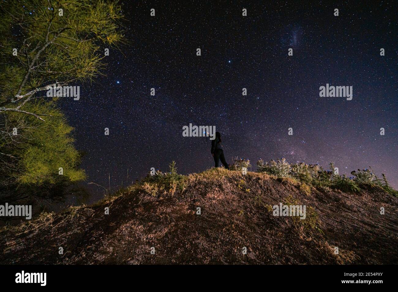 Starry sky and the female touching the stars in the field Stock Photo ...