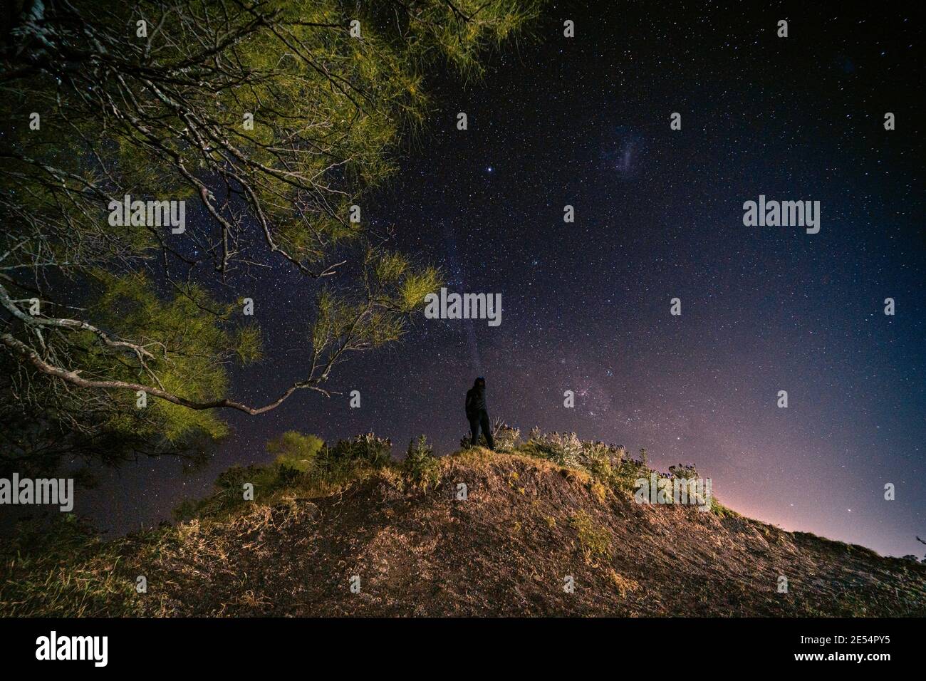 Starry sky and the female touching the stars in the field Stock Photo ...