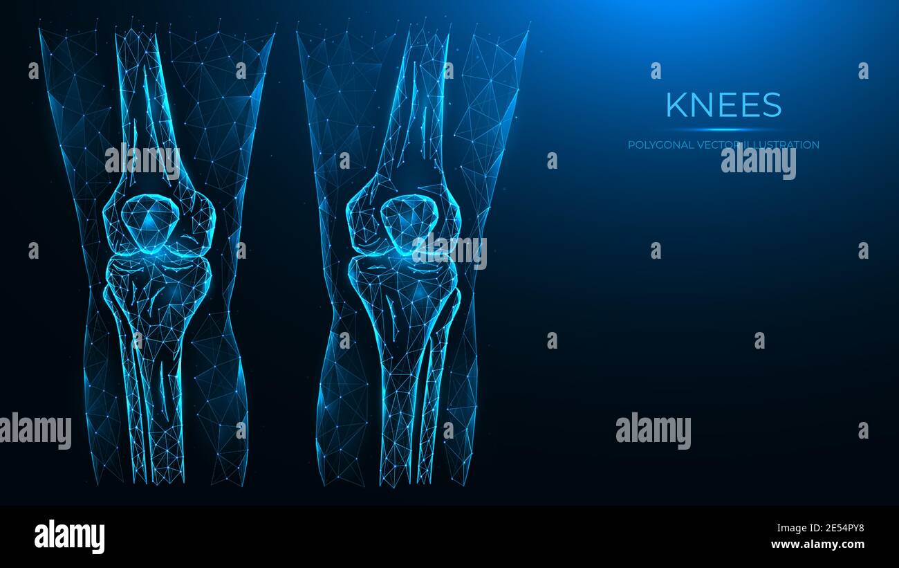 Human knee Stock Vector Images - Alamy