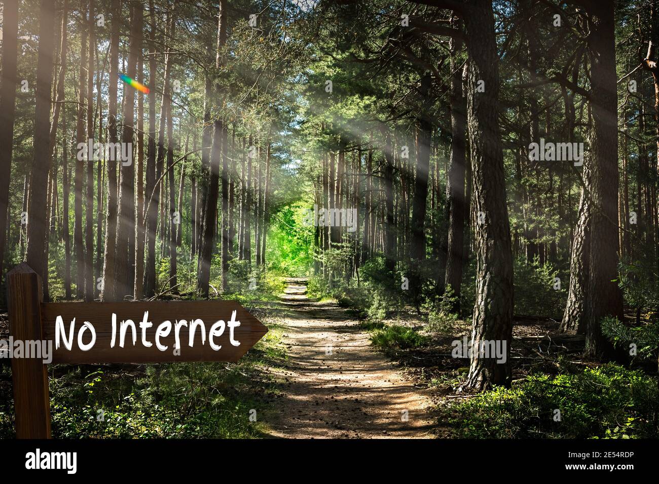 The Words No Internet written on a Sign in the Middle of a Forest Stock ...