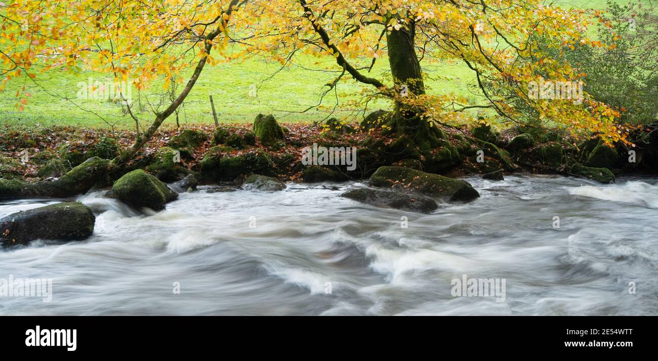 Golitha falls long exposure hi-res stock photography and images - Alamy