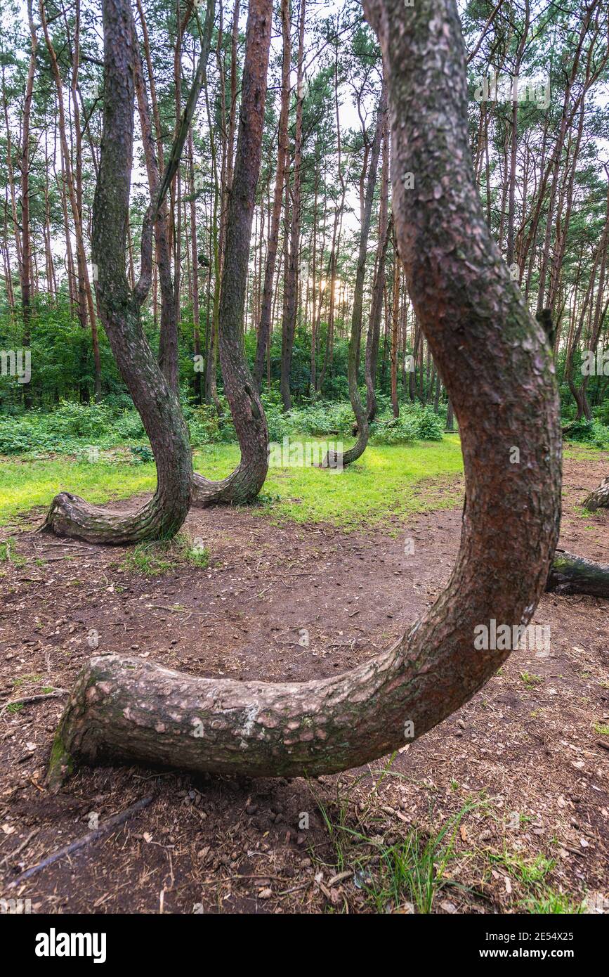 Distorted deformed hi-res stock photography and images - Alamy