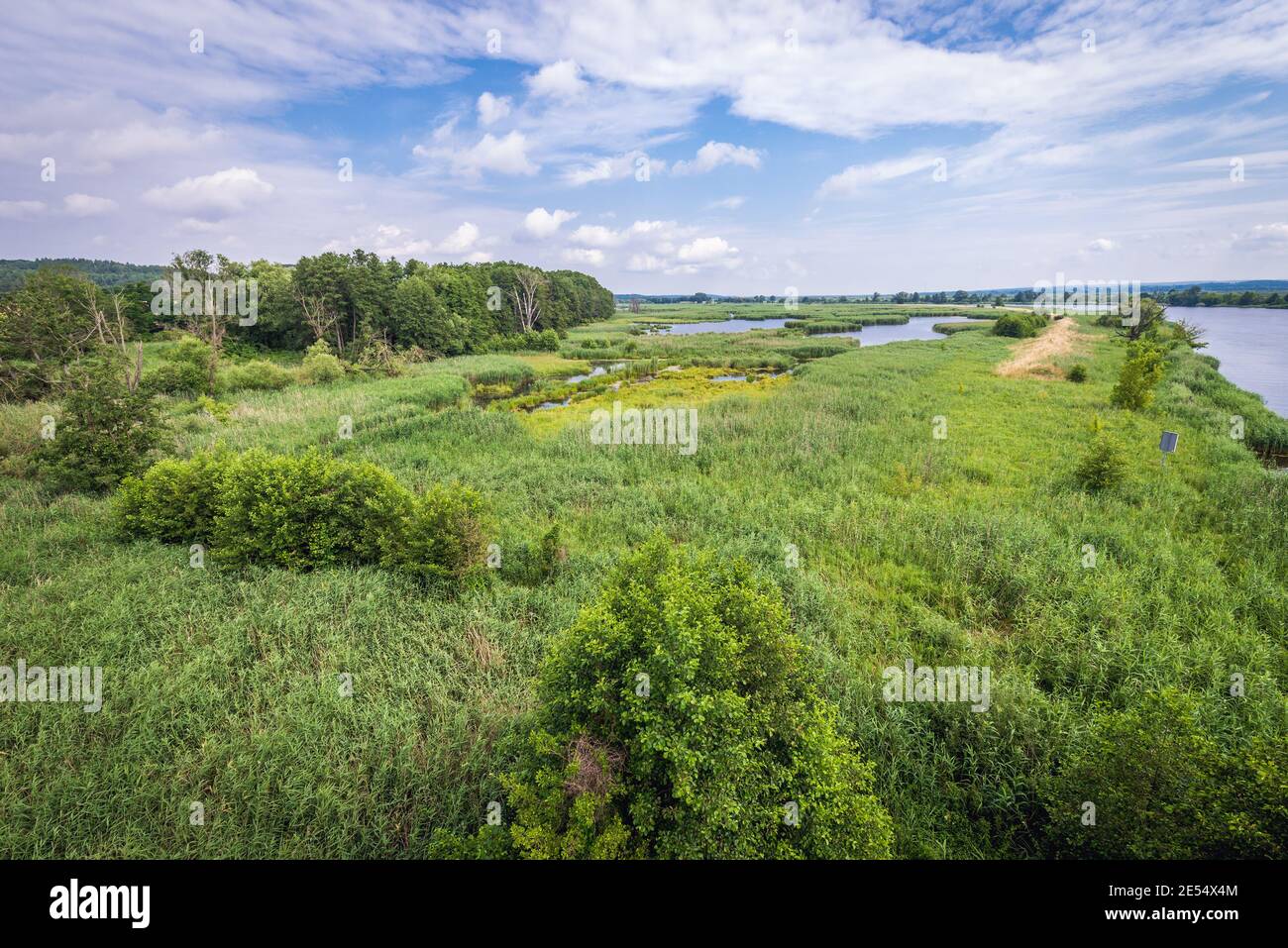 Oder river on german polish border hi-res stock photography and images ...