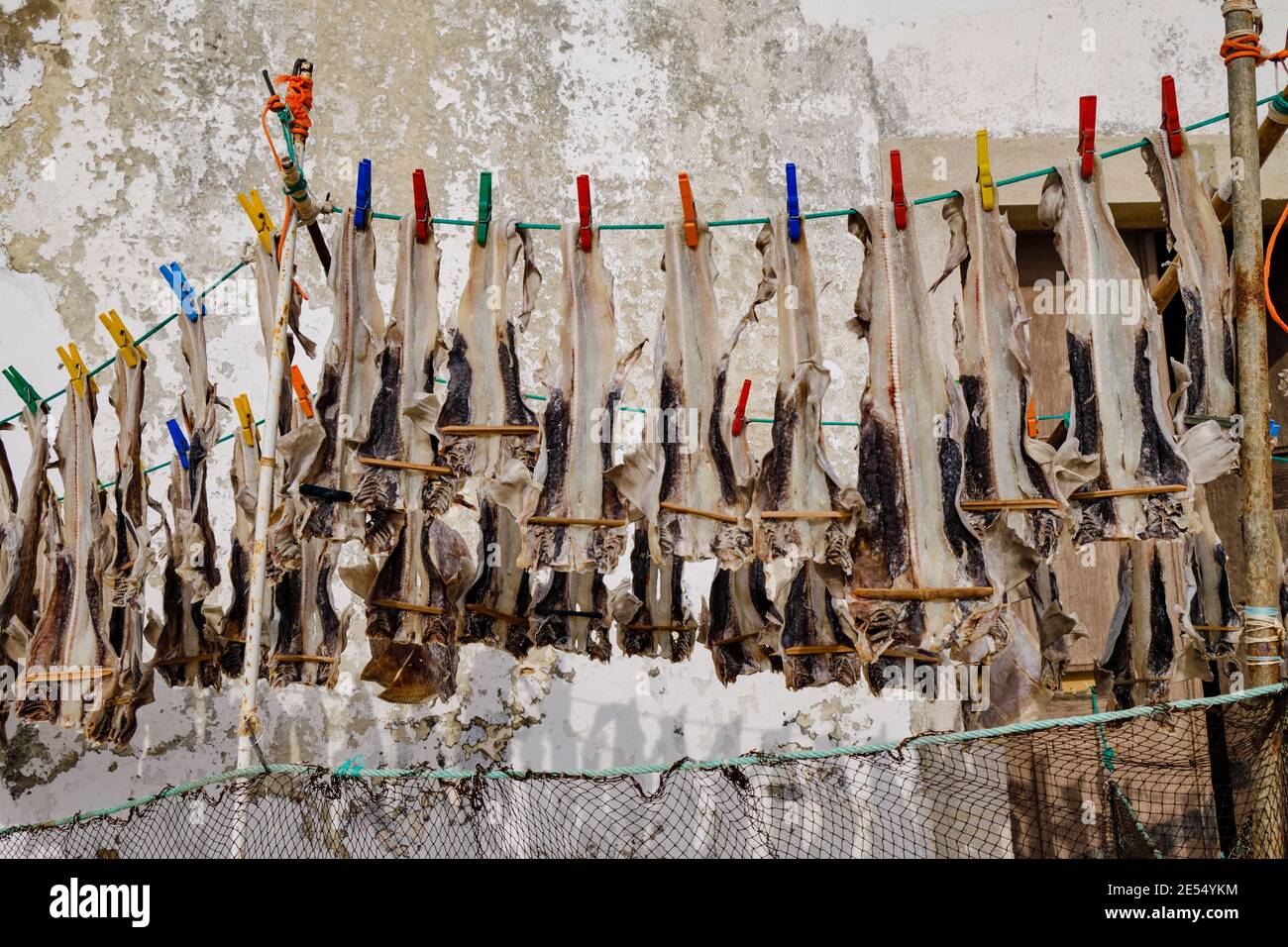 Catch Method High Resolution Stock Photography and Images - Alamy