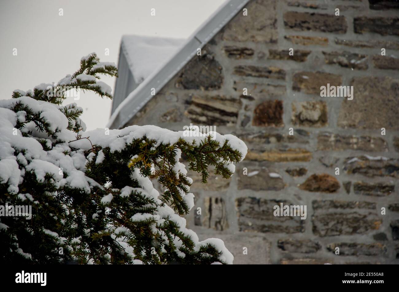 Winter details hi-res stock photography and images - Alamy