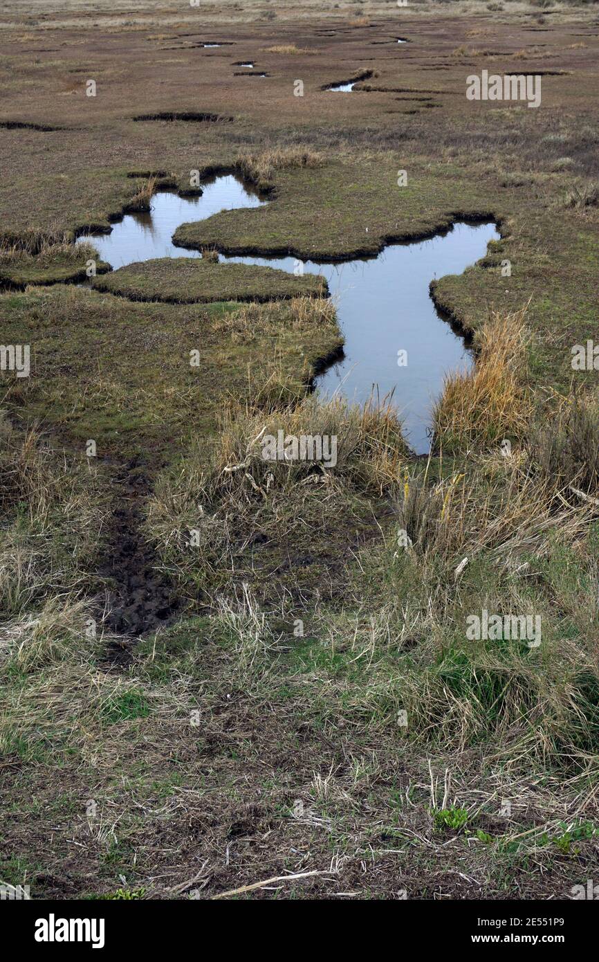 Moreston marsh hi-res stock photography and images - Alamy