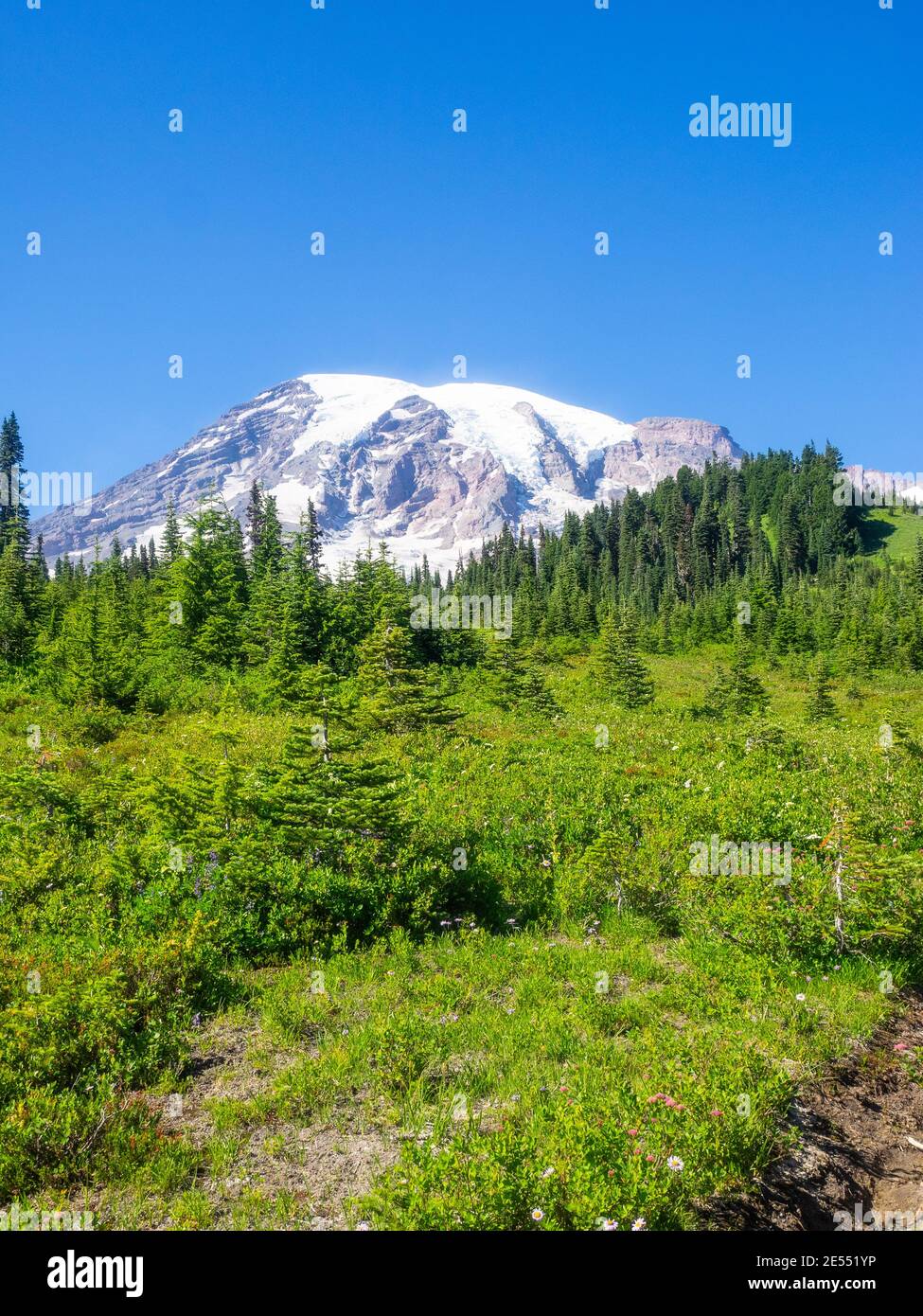 600 feet hi-res stock photography and images - Alamy