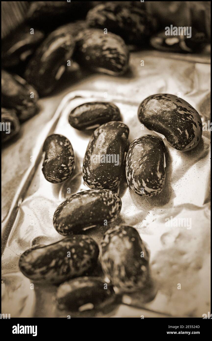 dried ''lady di'' variety runner bean seeds in aluminium container ...