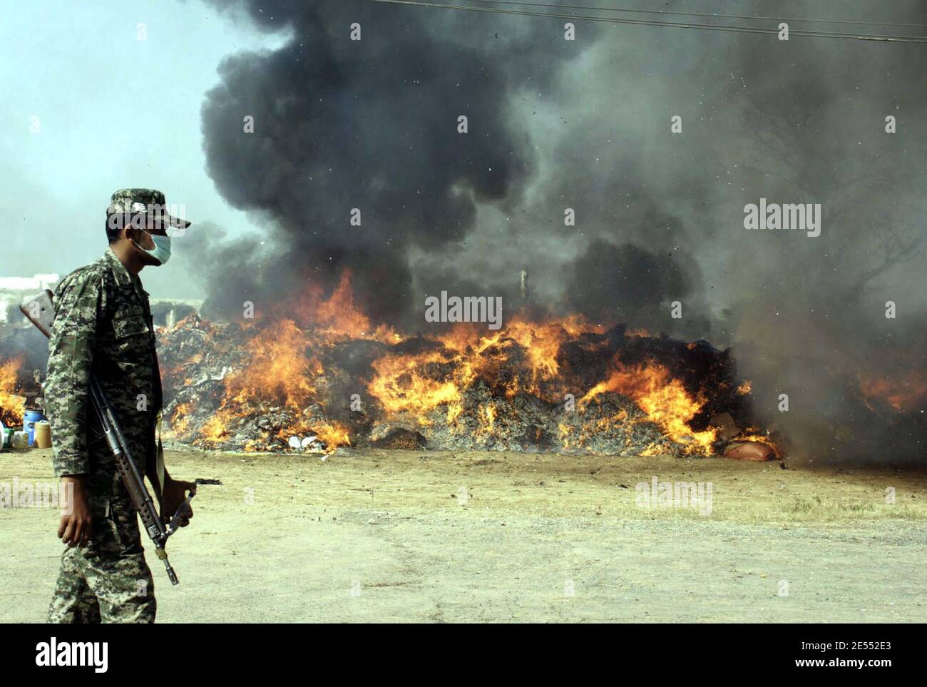 View of destroying liquor bottles and burning pile of confiscated drugs ...