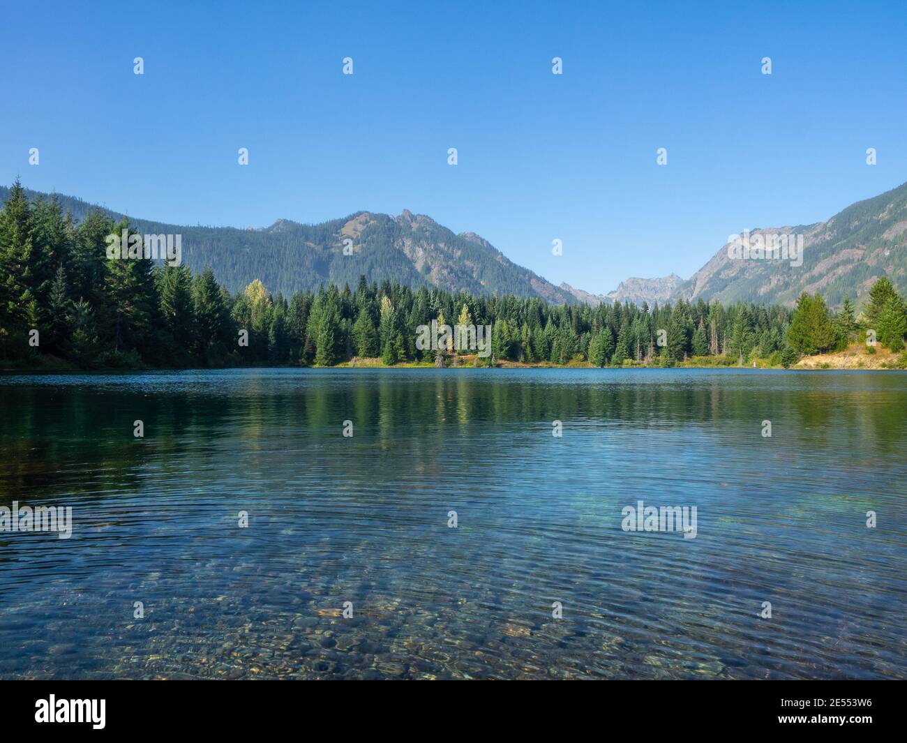 Gold Creek Pond Loop is a 1.2 mile heavily trafficked loop trail ...