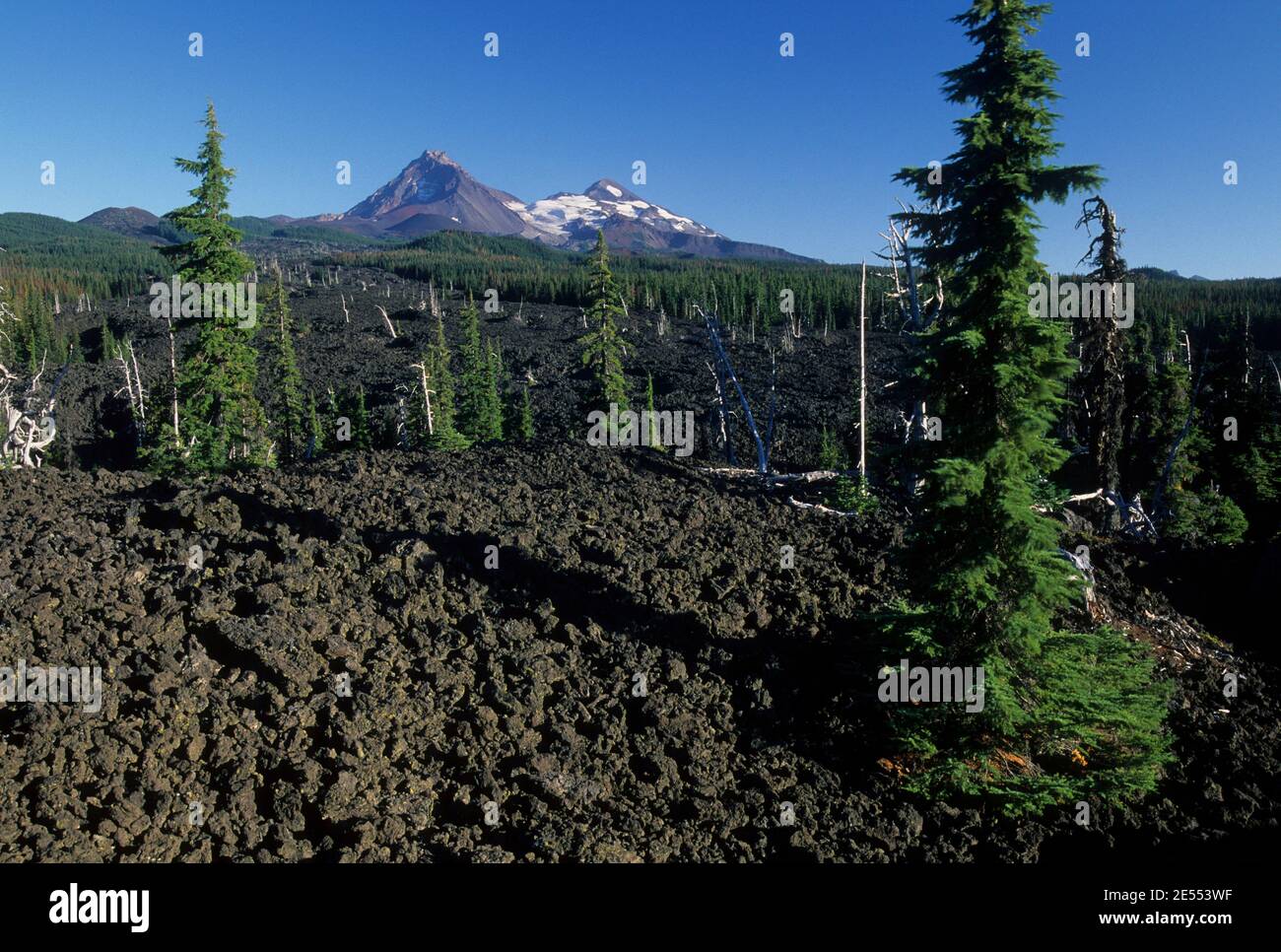 Lava flow to Middle and North Sister, Three Sisters Wilderness ...