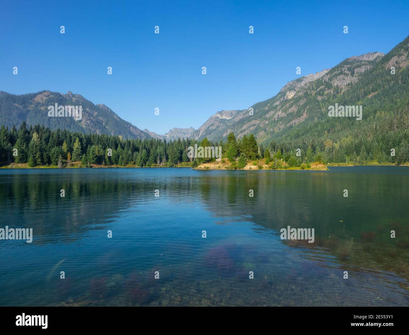 Gold Creek Pond Loop is a 1.2 mile heavily trafficked loop trail ...