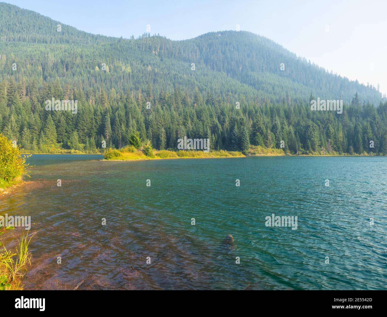 Gold Creek Pond Loop is a 1.2 mile heavily trafficked loop trail ...