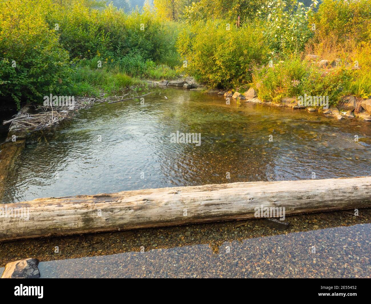 Gold Creek Pond High Resolution Stock Photography and Images - Alamy