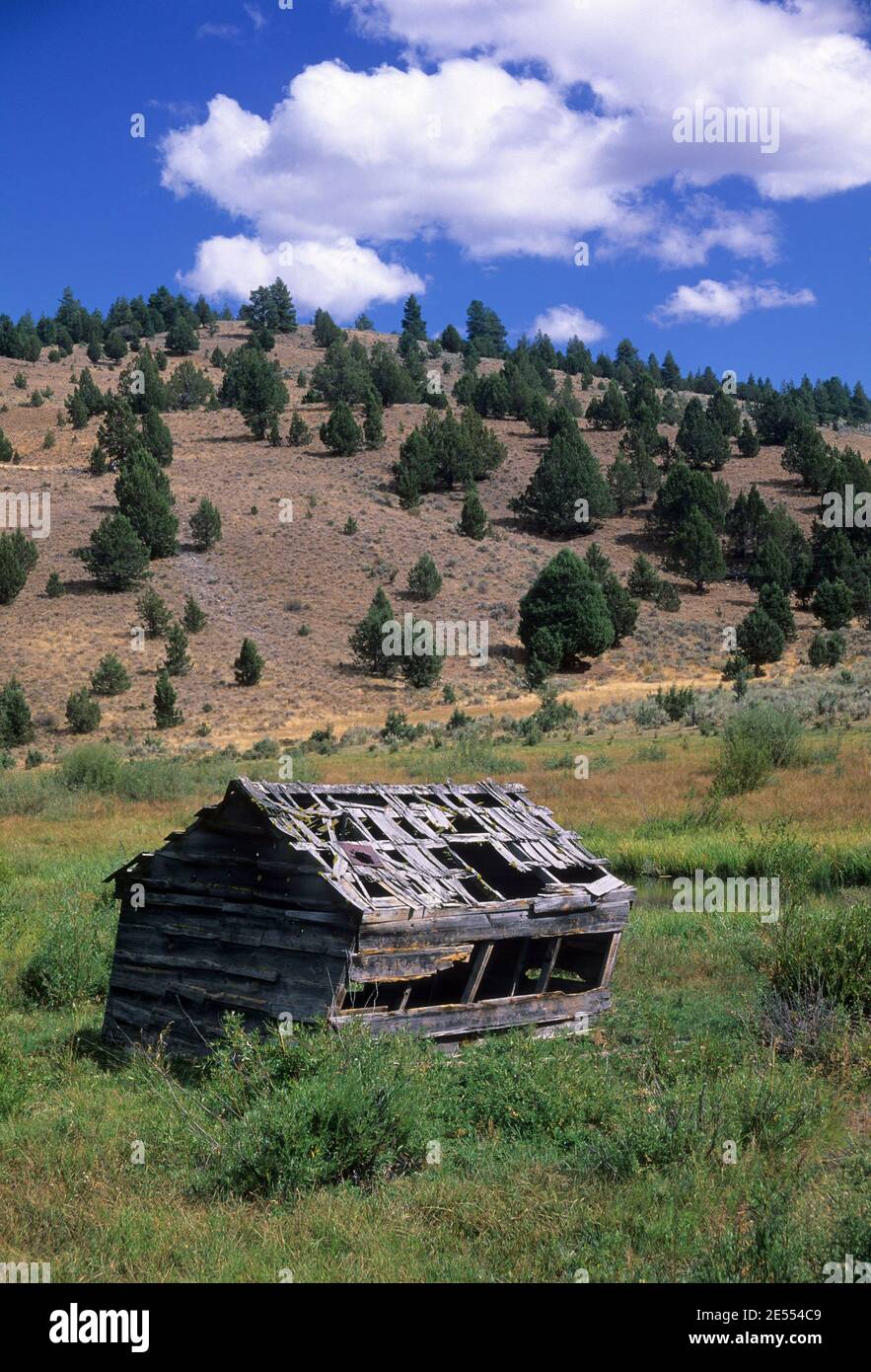 Ranch outbuilding, Crook County, Oregon Stock Photo - Alamy