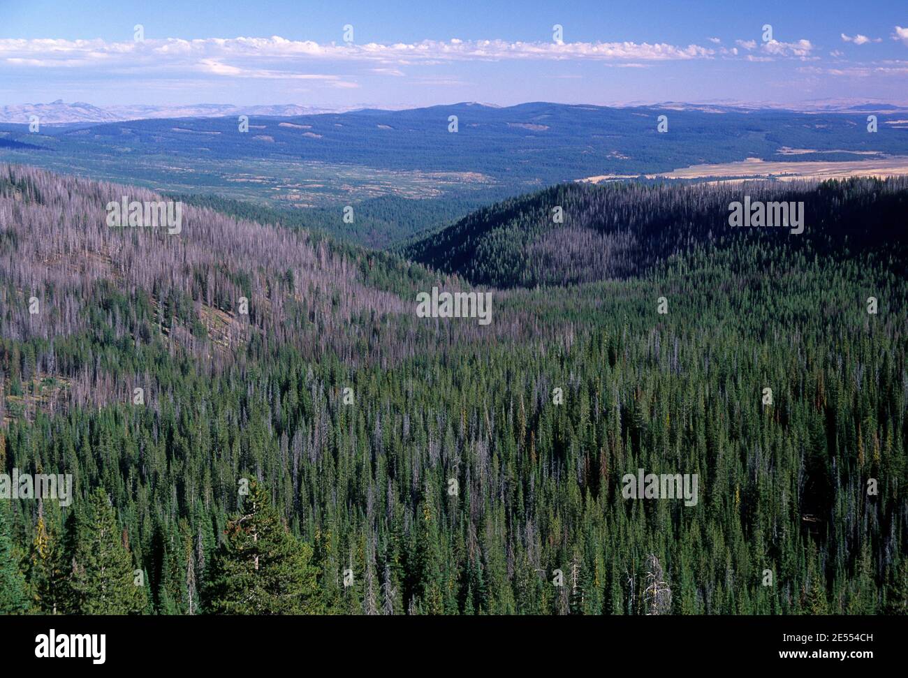 Lake Creek drainage, Strawberry Mountain Wilderness, Malheur National ...