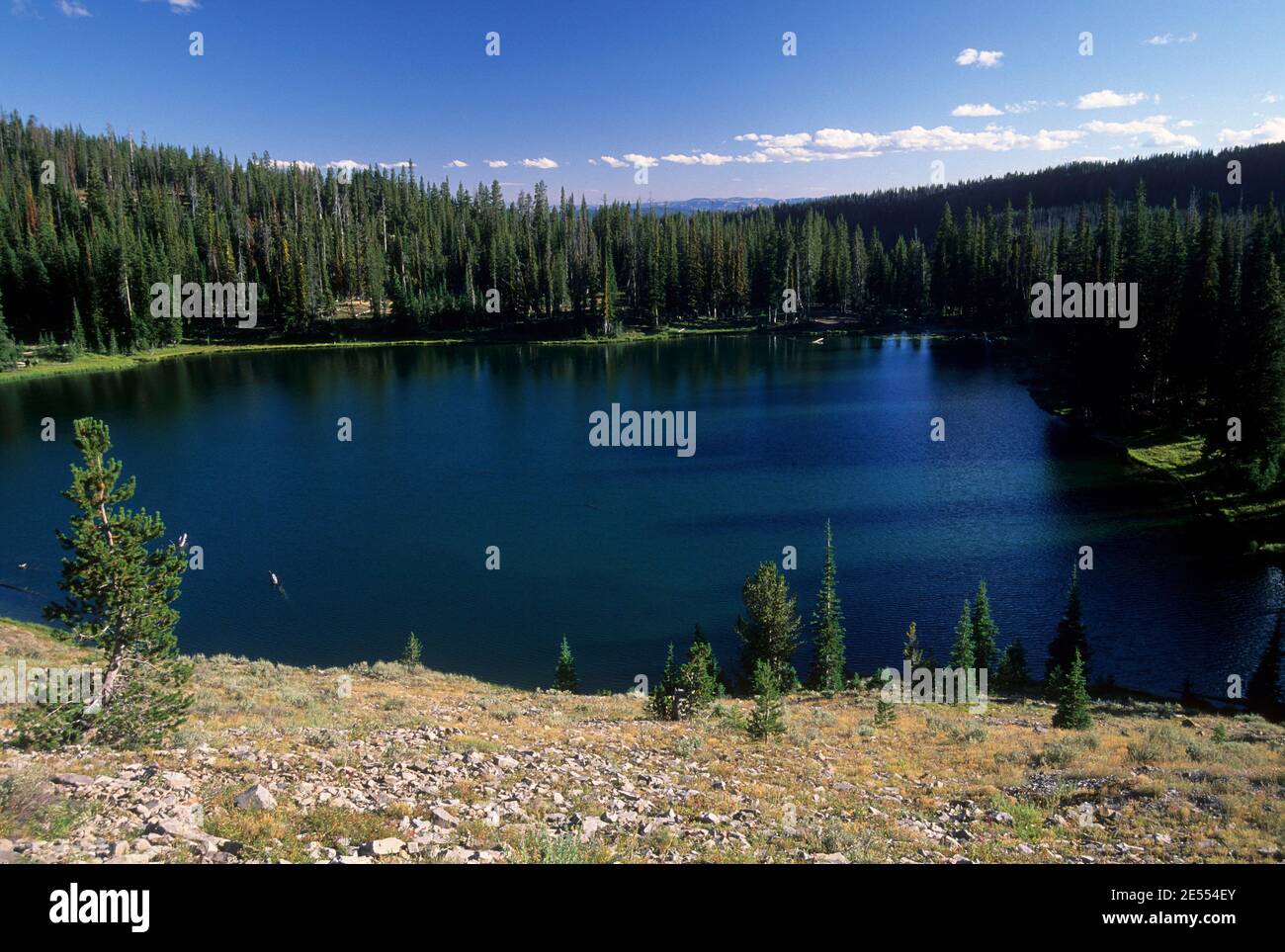 High Lake, Strawberry Mountain Wilderness, Malheur National Forest ...
