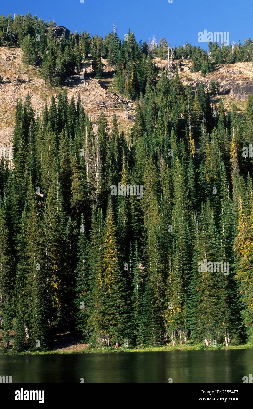 Malheur National Forest