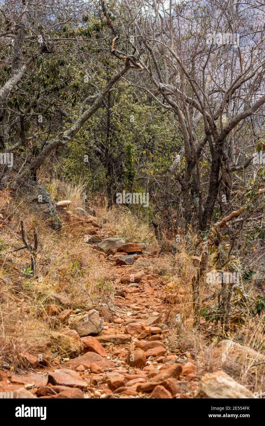 Path africa rocky not bike not coastal hi-res stock photography and ...