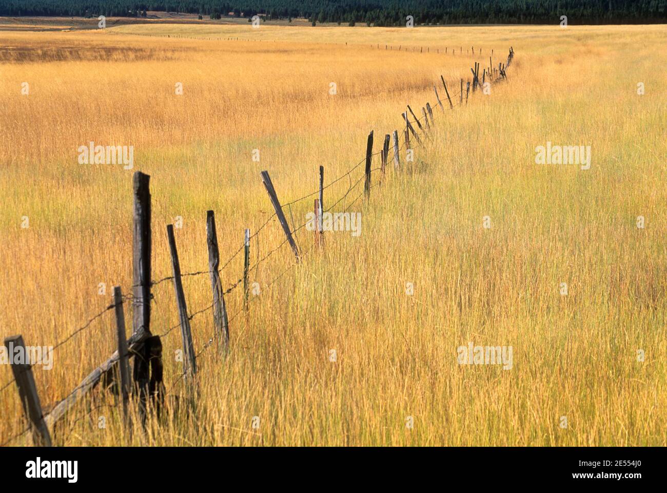 Logan Valley with ranch fence, Malheur National Forest, Oregon Stock ...
