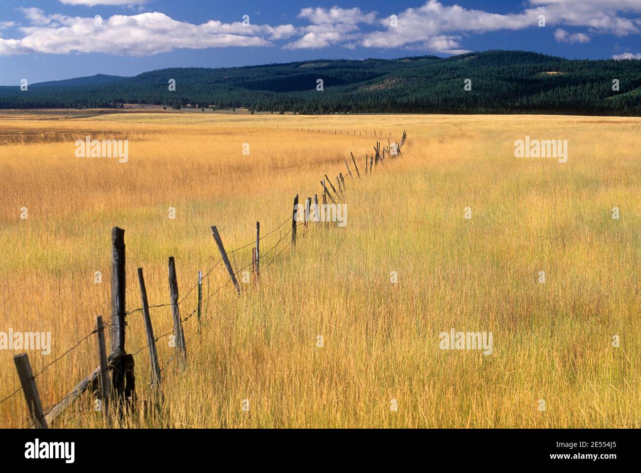 Logan Valley with ranch fence, Malheur National Forest, Oregon Stock ...
