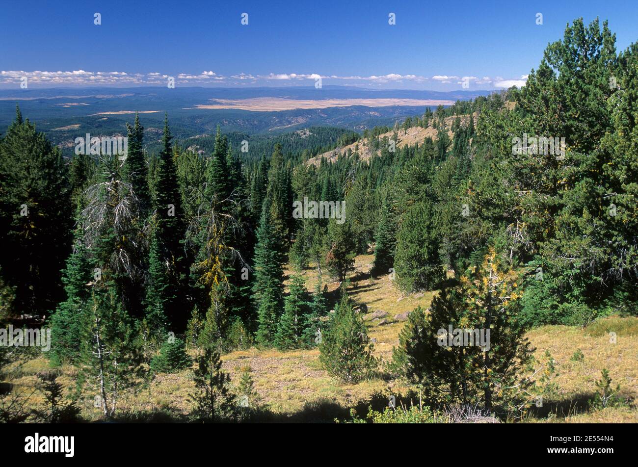 Southern view from Roads End, Strawberry Mountain Wilderness, Malheur ...
