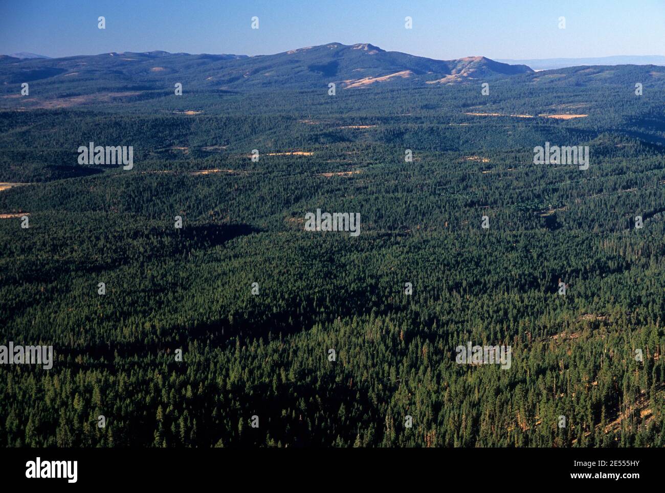 View from Drake Peak Lookout, Fremont National Forest, Oregon Stock ...