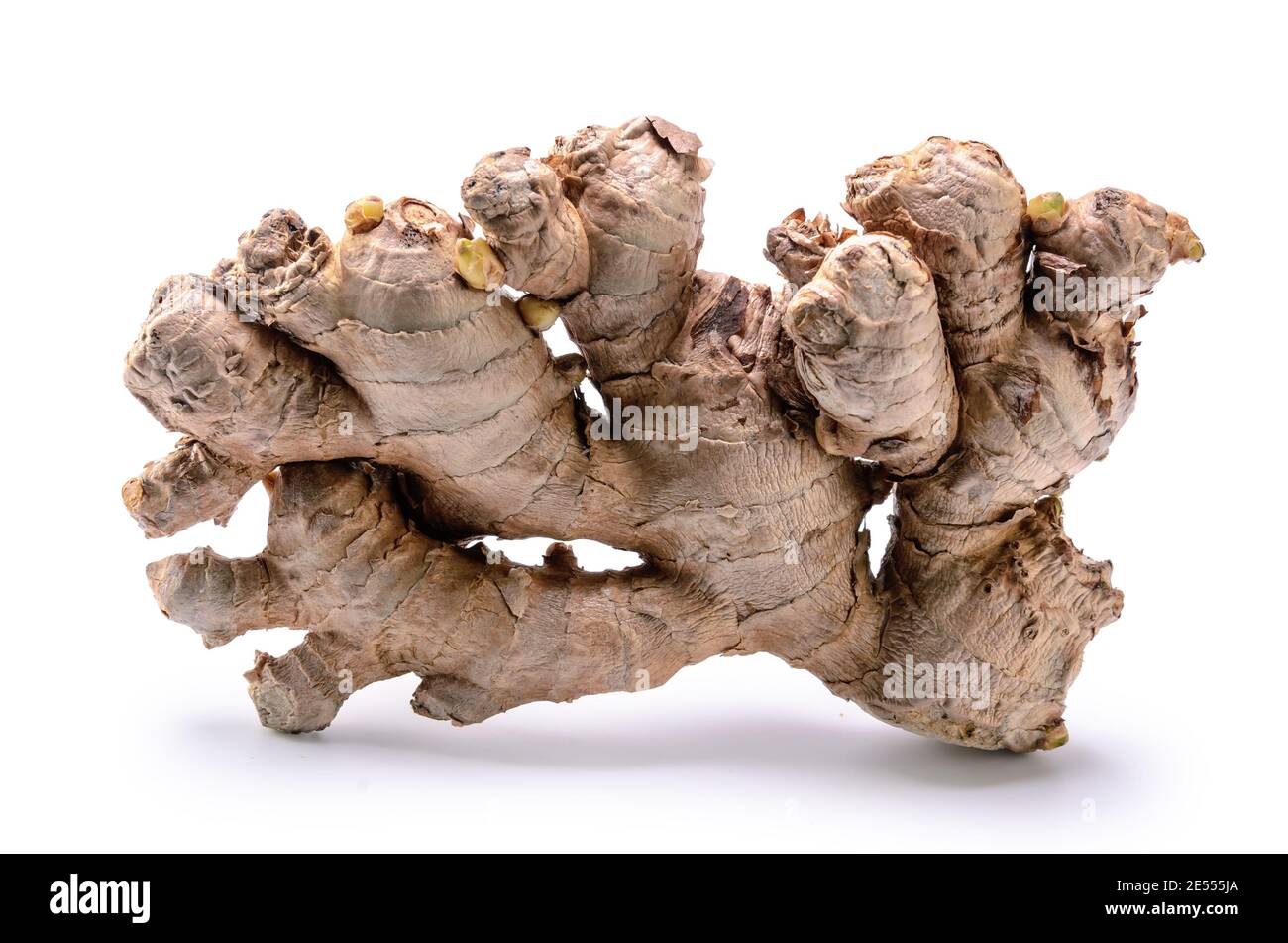 ginger root on white background with soft shadow Stock Photo - Alamy