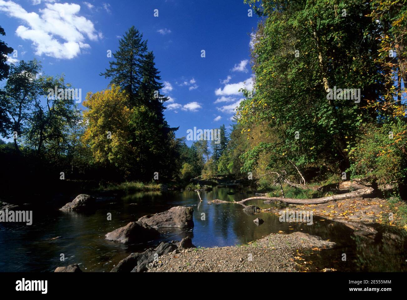 Calapooia River, McKercher Park, Linn County, Oregon Stock Photo - Alamy