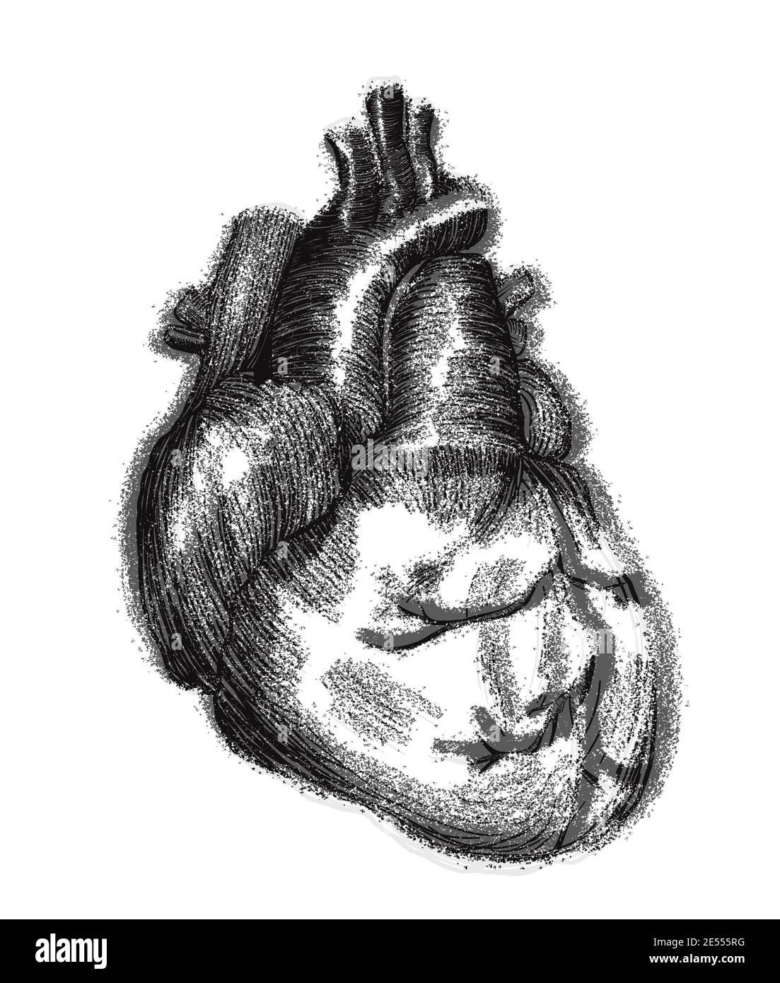 Heart anatomy drawing hi-res stock photography and images - Alamy