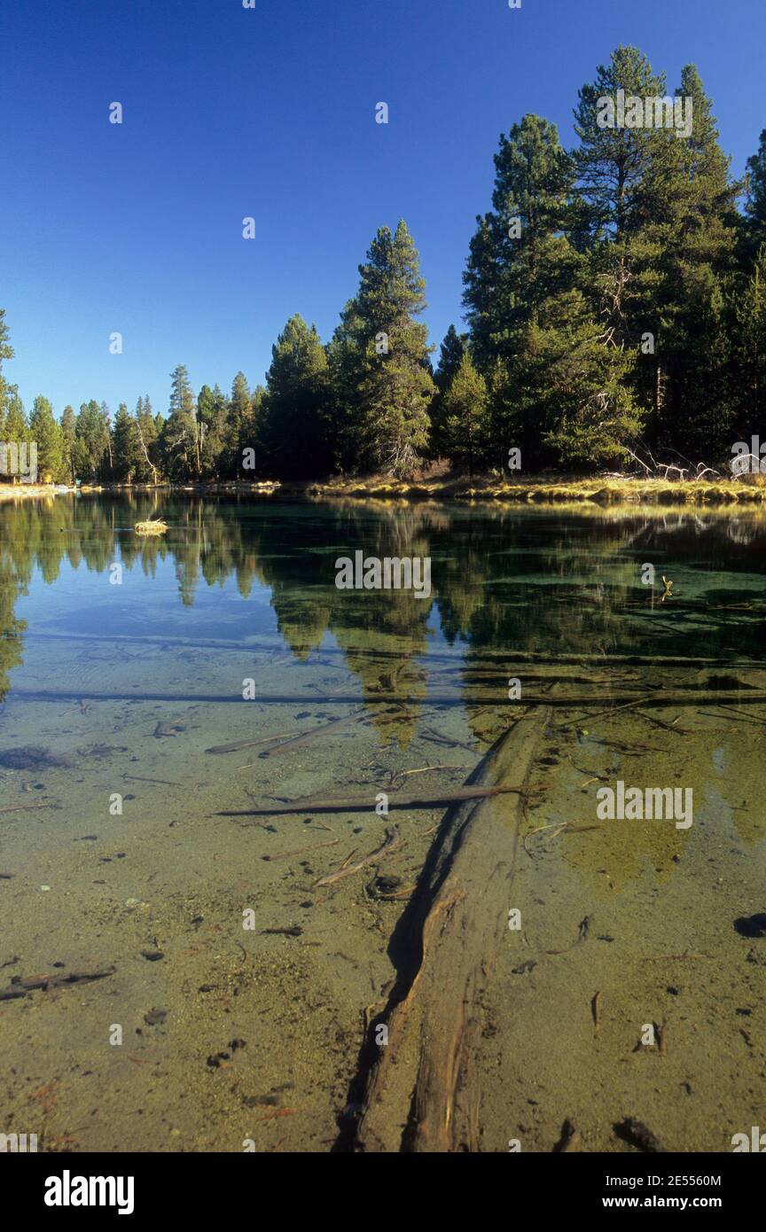 Spring Creek, Collier Memorial State Park, Oregon Stock Photo - Alamy