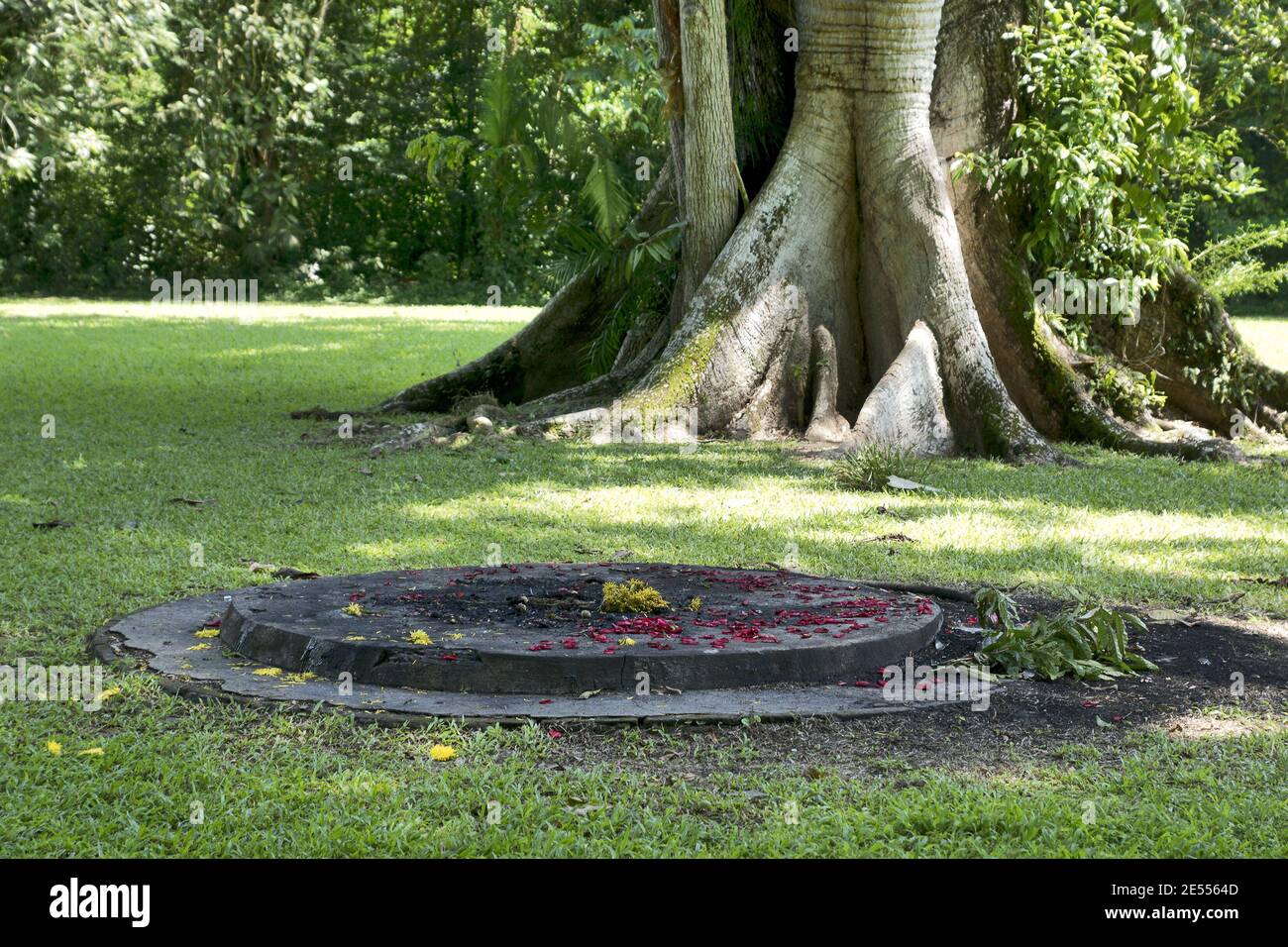 Guatemala: Mayan contemporary sacrificial stone. The ministry of ...