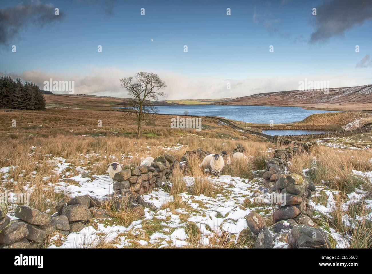 Calderdale moors hi-res stock photography and images - Alamy