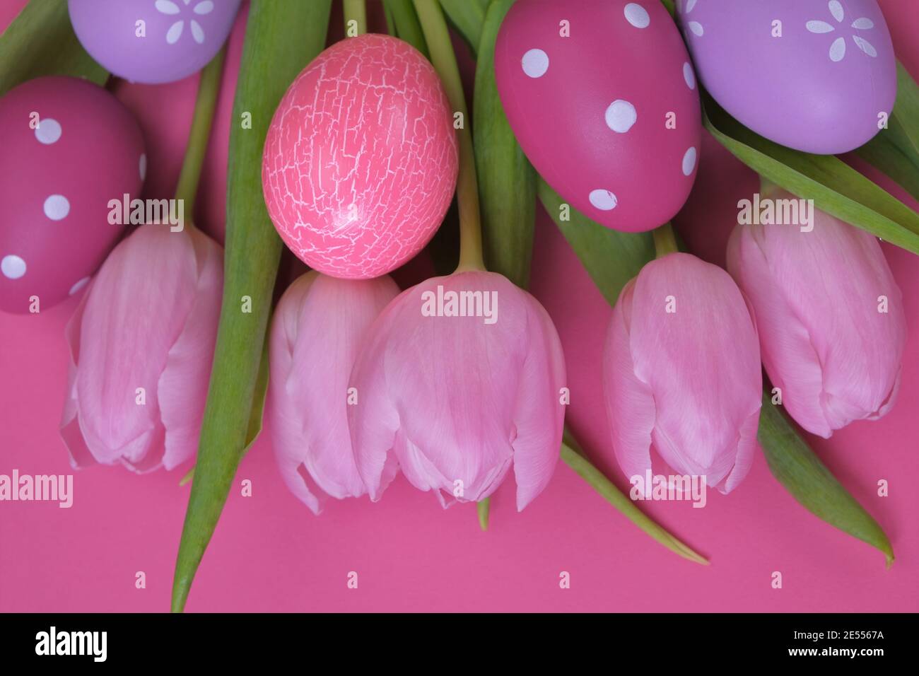 Easter holiday.pink tulips flowers, purple and pink easter eggs set ...