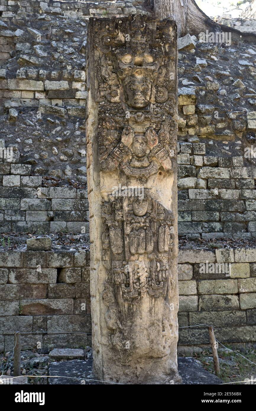 Copan, Honduras, Central America: stela of maya ruler in Copan. Copan ...