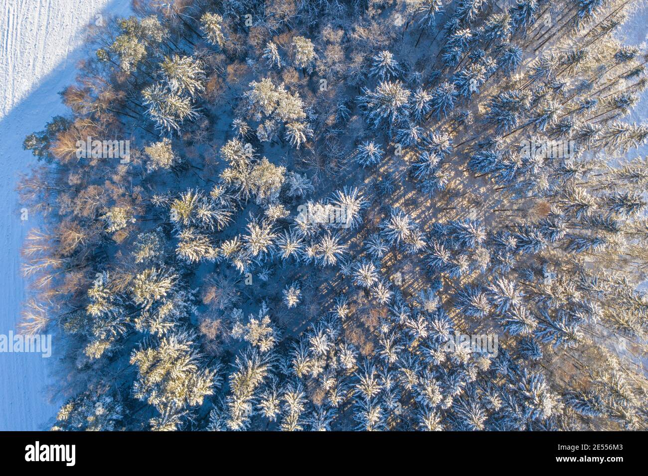 Ariel view top down hi-res stock photography and images - Alamy