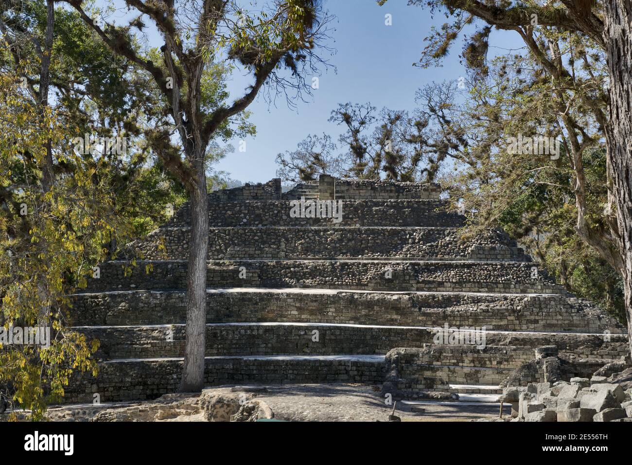 Copan, Honduras, Central America: The West Court of Copan. Copan is an ...