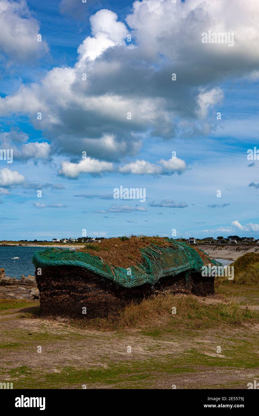 Seaweed stack at Meneham an old seaweed gathering settlement in ...
