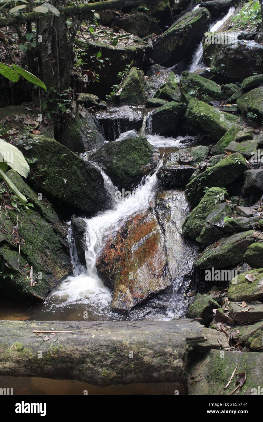 Erin-Ijesha-Water fall, Osun State, Nigeria Stock Photo - Alamy
