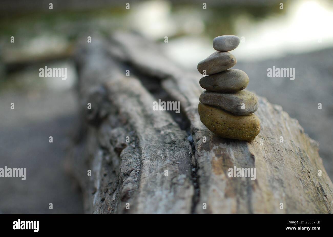 Precariously balanced stack of rocks on a piece of driftwood Stock ...