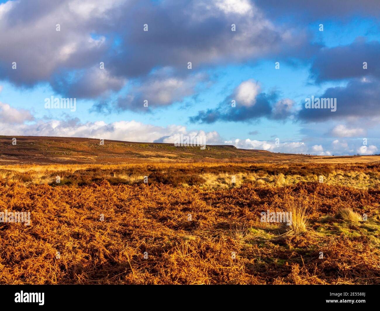 Winter landscape with dramatic sky at Beeley Moor near Bakewell in the ...