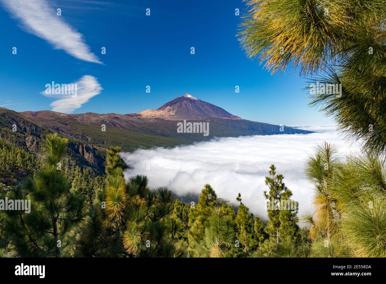 Natural wonders canary islands hi-res stock photography and images - Alamy