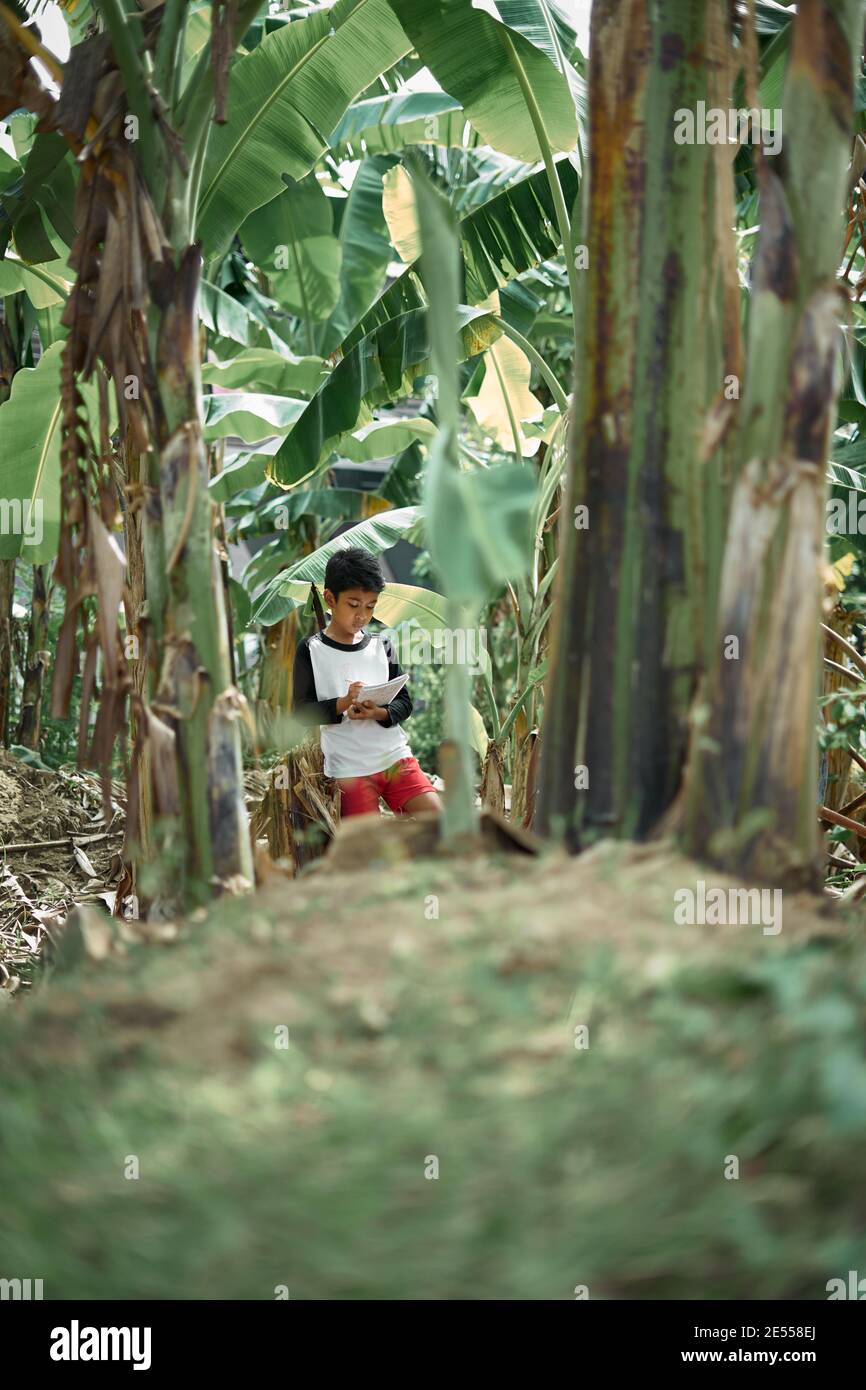 Little boy doing homework and study at nature public park Stock Photo ...