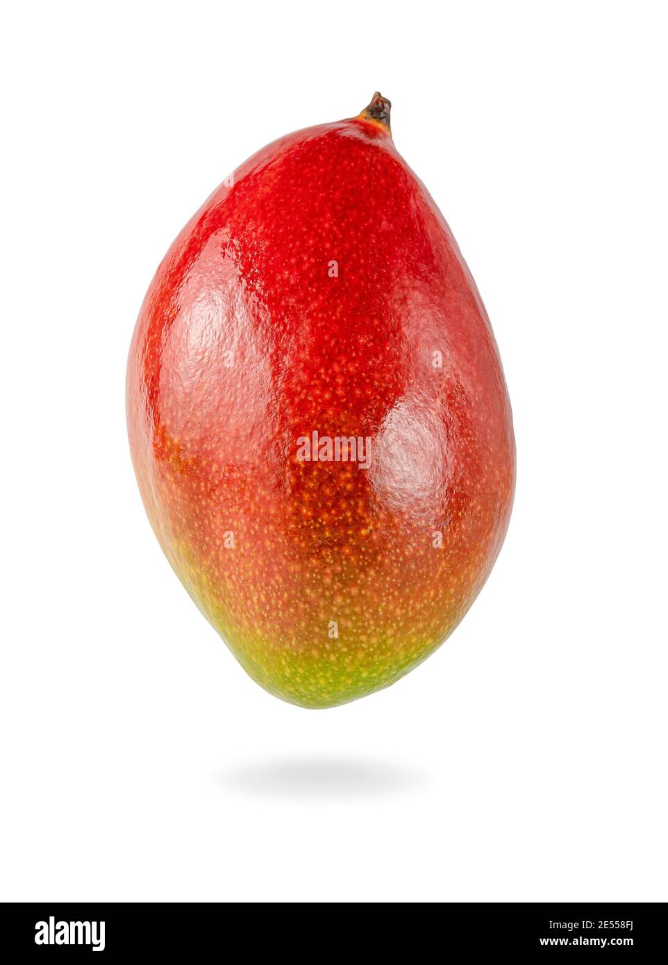 Ripe isolated single mango on white background Stock Photo - Alamy
